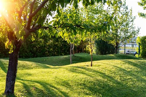 What Is A Berm In Landcaping Landscape Berm Ideas