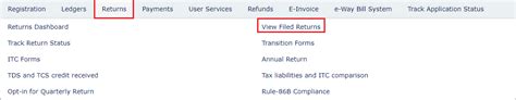 View E Filed Returns