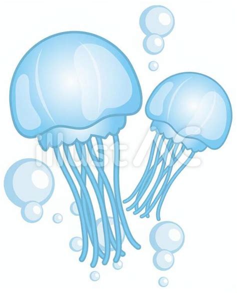 10000ダウンロード済み クラゲ イラスト 214034 海月 イラスト