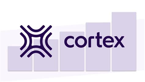 Starting With The Right Foundations The Cortex Engineering Maturity