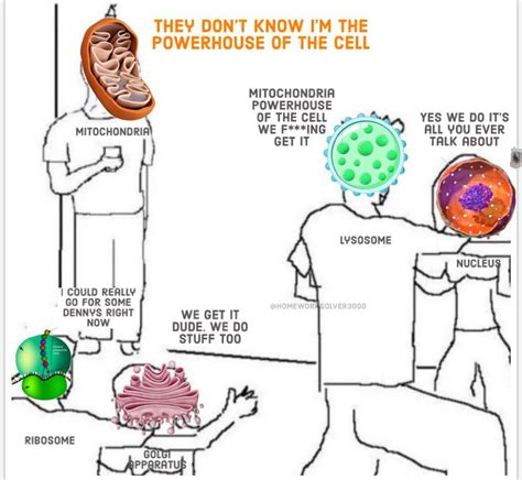 Cell Organelles Memes Cell Organelles Individual Group