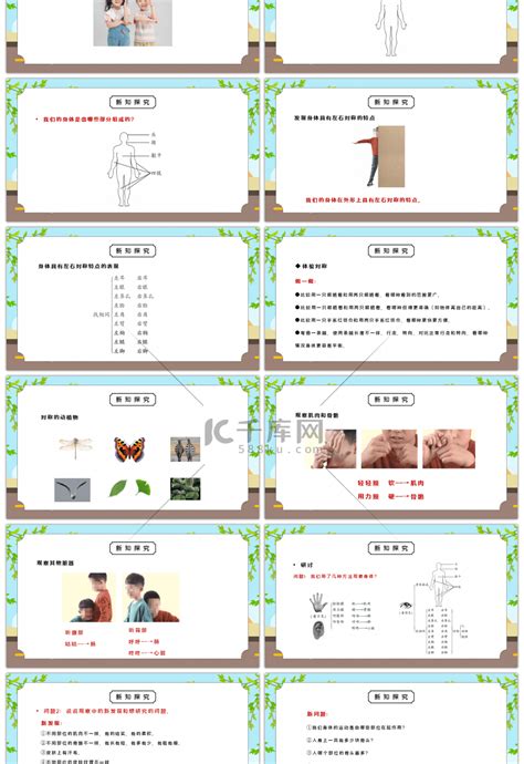 教科版二年级科学下册第二单元《我们自己 观察我们的身体》ppt课件ppt模板免费下载 Ppt模板 千库网