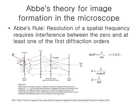 Ppt Basic Light Microscopy Powerpoint Presentation Free Download