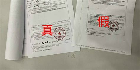 司机买处罚单捞车 牵出上海首例特大伪造公文案手机新浪网