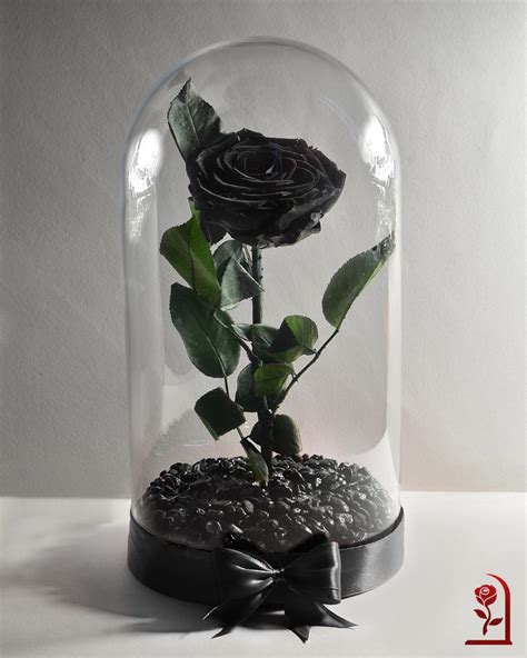 Черна Естествена Вечна Роза в Голяма Гравирана Стъкленица • The First Rose