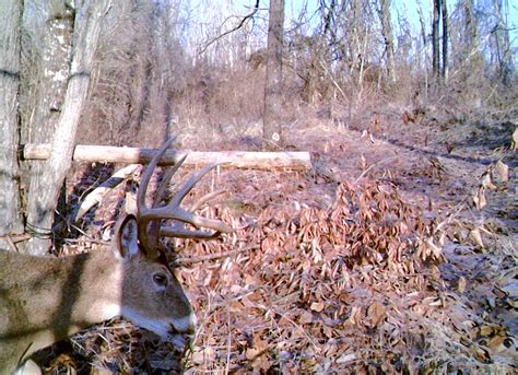 Why Late Is Great For Hunting Top End Whitetails Hunt Stand