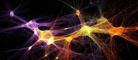 Intricate Network Of Neurons Illuminated Premium AI Generated Image