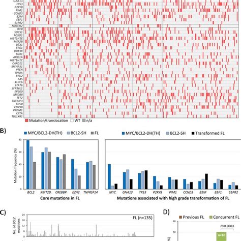 Dlbcl With Bcl2 Translocation Harbour The Cardinal Mutation Signature