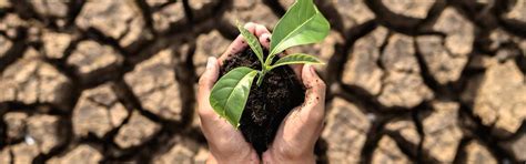 Qué Es La Huella De Carbono Y Cómo Reducirla