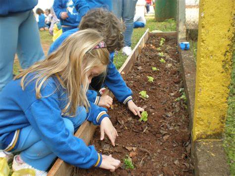 Escola Sinodal Sete De Setembro Projeto Horta Na Educação Infantil