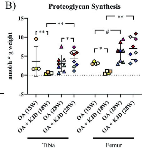 Biochemical Analysis Of Proteoglycans Pg A The Proteoglycan Pg Download Scientific
