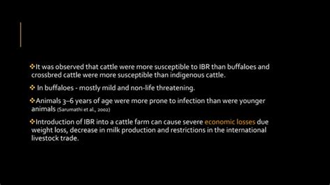 Bovine Herpes Virus 1 Affections Infectious Bovine Rhinotracheitis