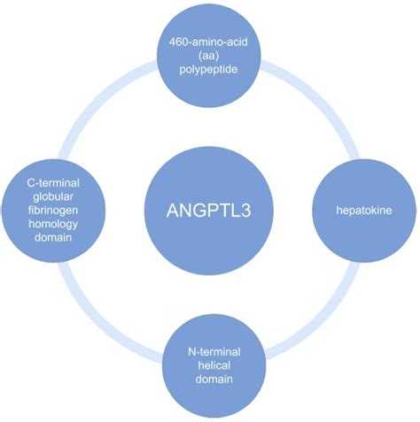 Biochemical Structure Of Angptl3 2122 Angptl3 Angiopoietin Like