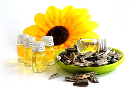 alternativas al aceite de girasol cómo cocinar sin aceite Antojo en tu cocina