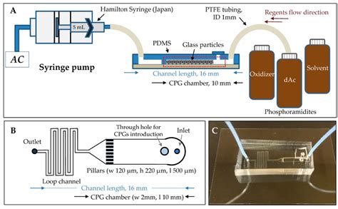 A Simple And Efficient Microfluidic System For Reverse Chemical Synthesis 5′ 3′ Of A Short