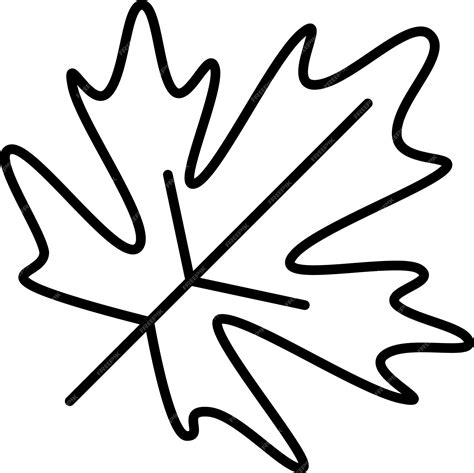 Premium Vector Maple Leaf Outline Vector Illustration