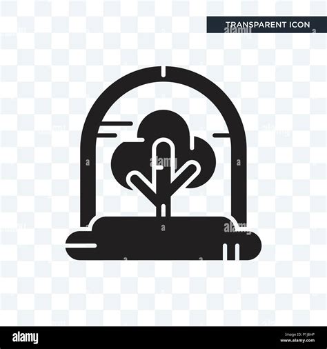 Tree Vector Icon Isolated On Transparent Background Tree Logo Concept Stock Vector Image Art