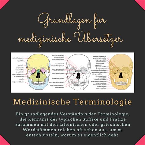 Grundlagen für medizinische Übersetzer 1 - Medizinische Terminologie