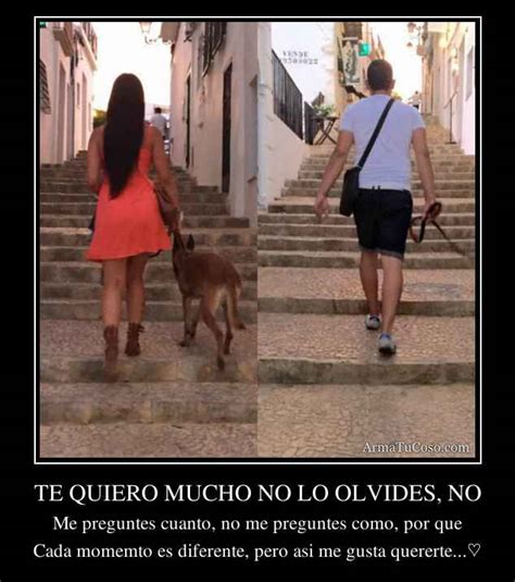Te Quiero Mucho No Lo Olvides No
