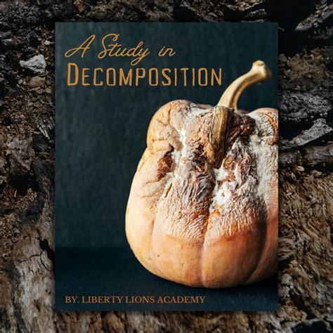 Decomposing Pumpkin Nature Study Homeschool Science Unit Digital