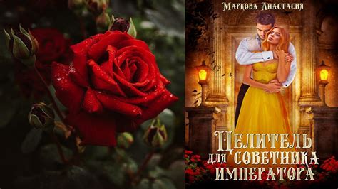 Целитель для советника императора Любовное фэнтези Анастасия Маркова