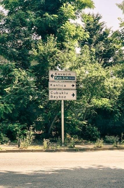 Perfect Fit Ted Stockings Size Guide Find Your Ideal Pair