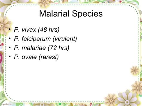 Classification Of Protozoa Ppt