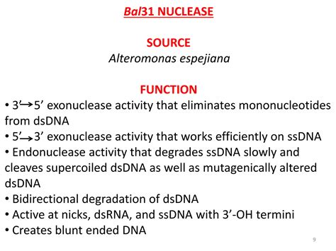 Lectut Btn 202 Ppt L11 Enzymes Used In Genetic Engineering Ii Pptx
