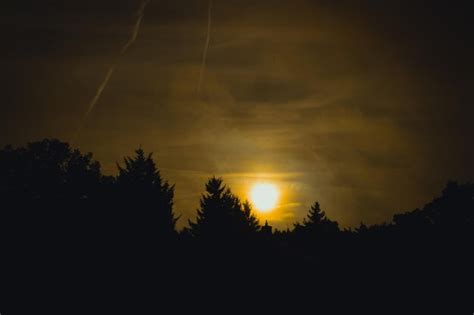 Premium Photo Silhouette Trees Against Sunset Sky