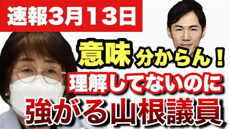【私は最強♪】山根温子議員が意味のわからない事をまた聞いてきました。安芸高田市議会 Youtube