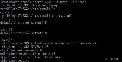 通过docker在linux上安装mysql并进行配置 linux 查看docker中mysql 修改配置 csdn博客