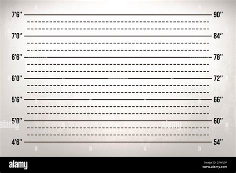 Scale In Inches On A Gray Wall Ruler For Identification By Height