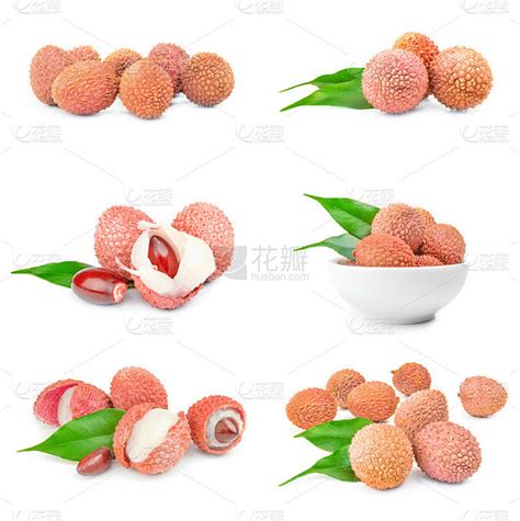 一组荔枝在一个白色的背景