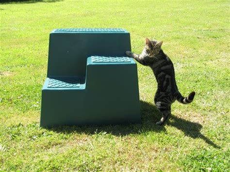 Easy Step Mounting Block The Jump Company