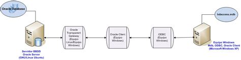 C Mo Conectar Oracle Database Con Access Mediante Oracle Transparent