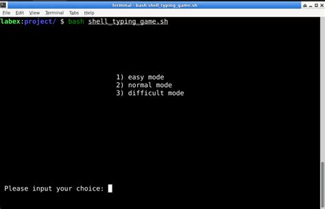 Crea Un Juego De Escritura Cautivador Con Bash LabEx