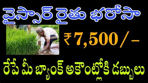వైయస్సార్ రైతు భరోసా రేపే మీ బ్యాంక్ అకౌంట్లోకి డబ్బులు Youtube