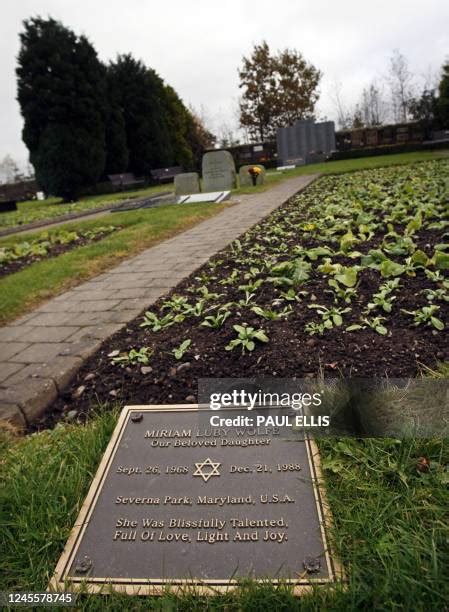 Miriam Wolfe Photos And Premium High Res Pictures Getty Images