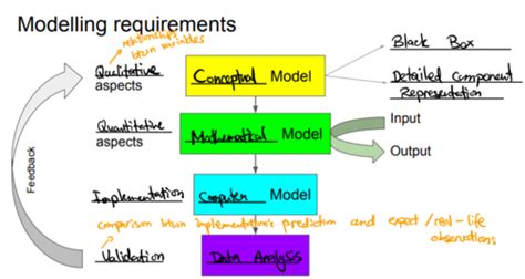 Bme 809 Lecture 3 Modelling And Differential Equations Flashcards