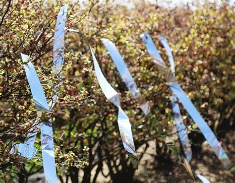 21 Aluminum Foil Hacks You Didnt Know You Needed Page 5 Of 73