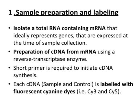 Functional Genomics Ppt