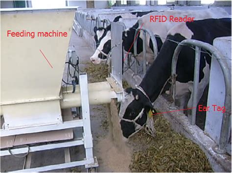 The Application Of Rfid In Automatic Feeding Machine For Single Daily Cow Intechopen
