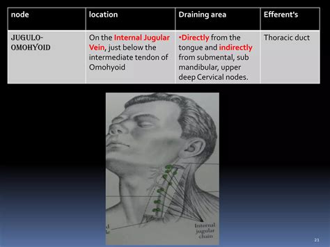 Examination Of Lymphnodes And Cervicofacial Lymphadenopathy Pptx