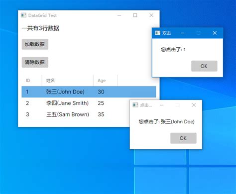 使用Avalonia UI实现DataGrid 技术栈