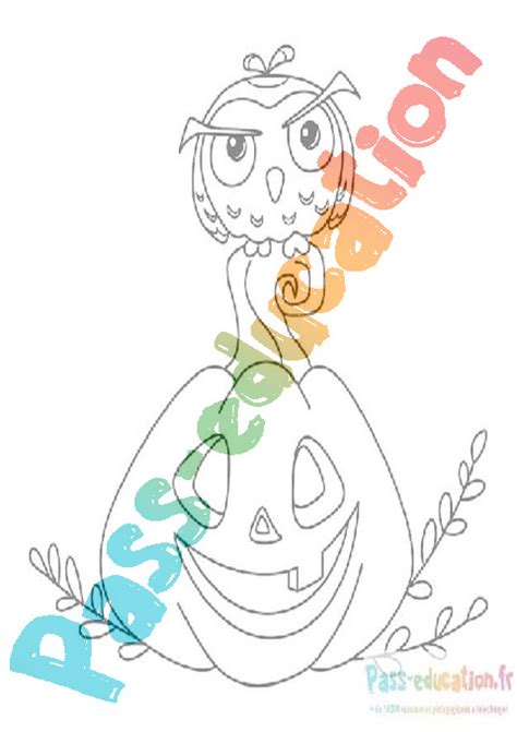 Coloriage gratuit Halloween citrouille PDF à imprimer