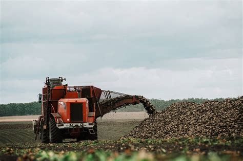 В Україні намолочено 32 02 млн тонн нового врожаю а в деяких регіонах