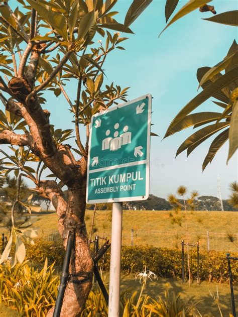 The Sign Of Assembly Point Stock Image Image Of Yellow 378971579 The Sign Of Assembly Point Stock Image Image Of Yellow 378971579