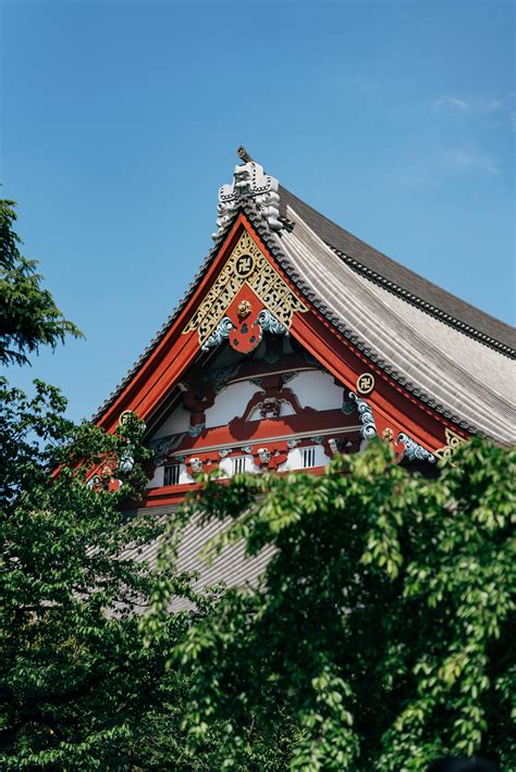 Dehatiladkikajunglemeinbluepicture Photos Download The Best Free