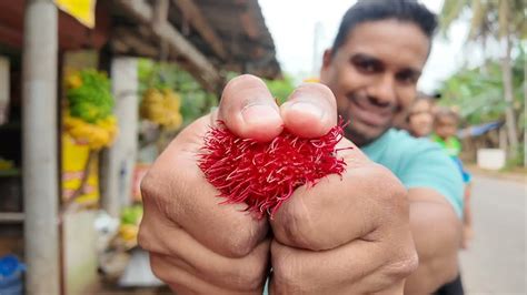 ත්‍රී වීල් එක පිරෙන්න මල්වාන රඹුටන් 😍😍 Seasonal Fruits In Sri Lanka 🇱🇰 Youtube