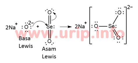 Reaksi Asam Basa Lewis Serta Penggolongannya Urip Dot Info